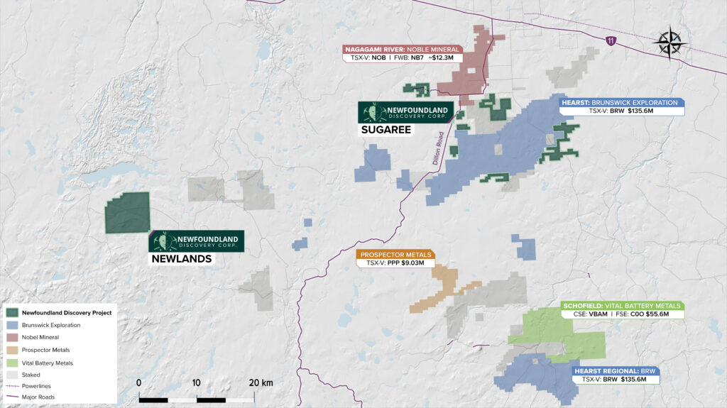 Newfoundland Discovery Bolsters Position in Quetico Subprovince Lithium ...